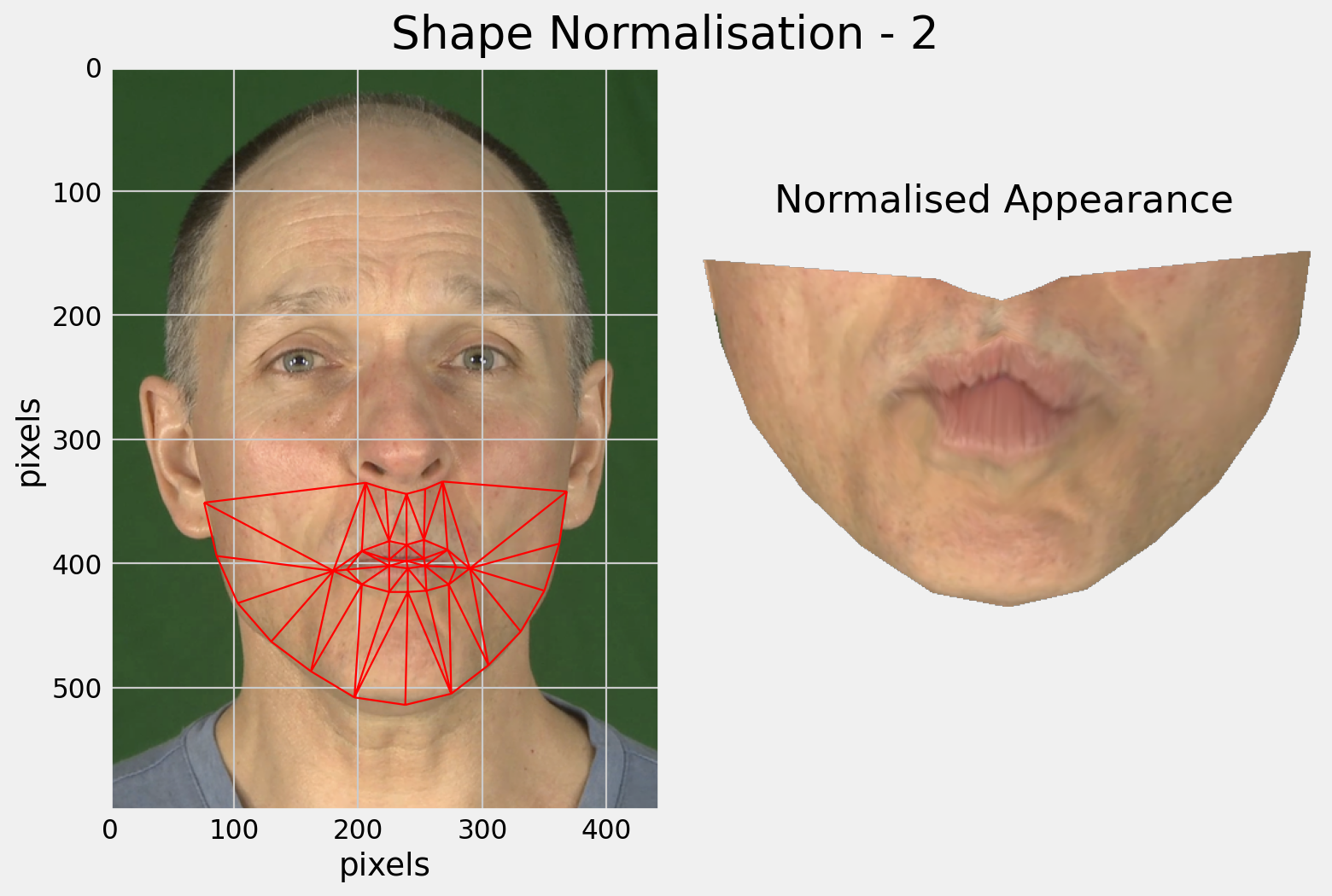 Appearance Features