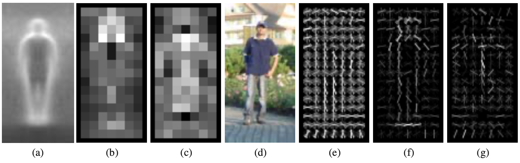 Object Detection