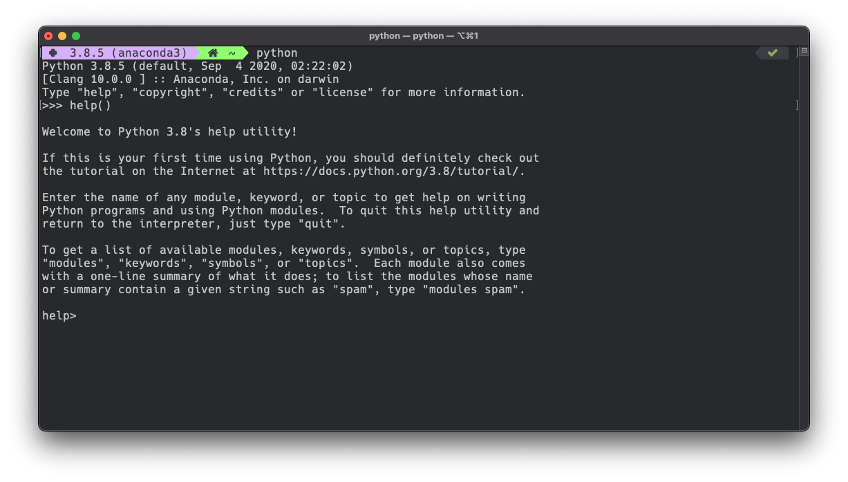 Interactive Python Shell