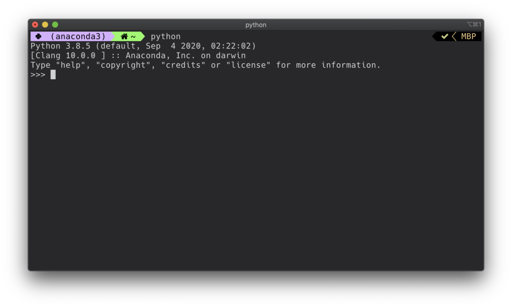 Interactive Python Shell